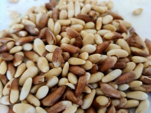 Cosas que no sabes sobre los piñones – Ana Tu Nutricionista