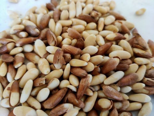 Cosas que no sabes sobre los piñones – Ana Tu Nutricionista